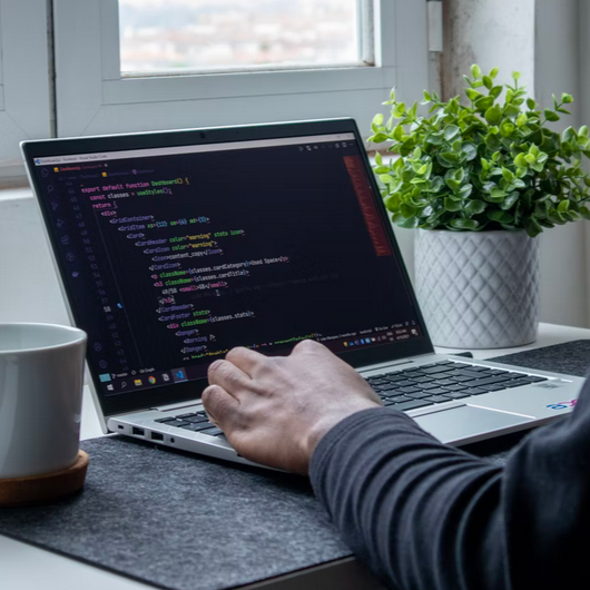 Webentwicklung | MLGT